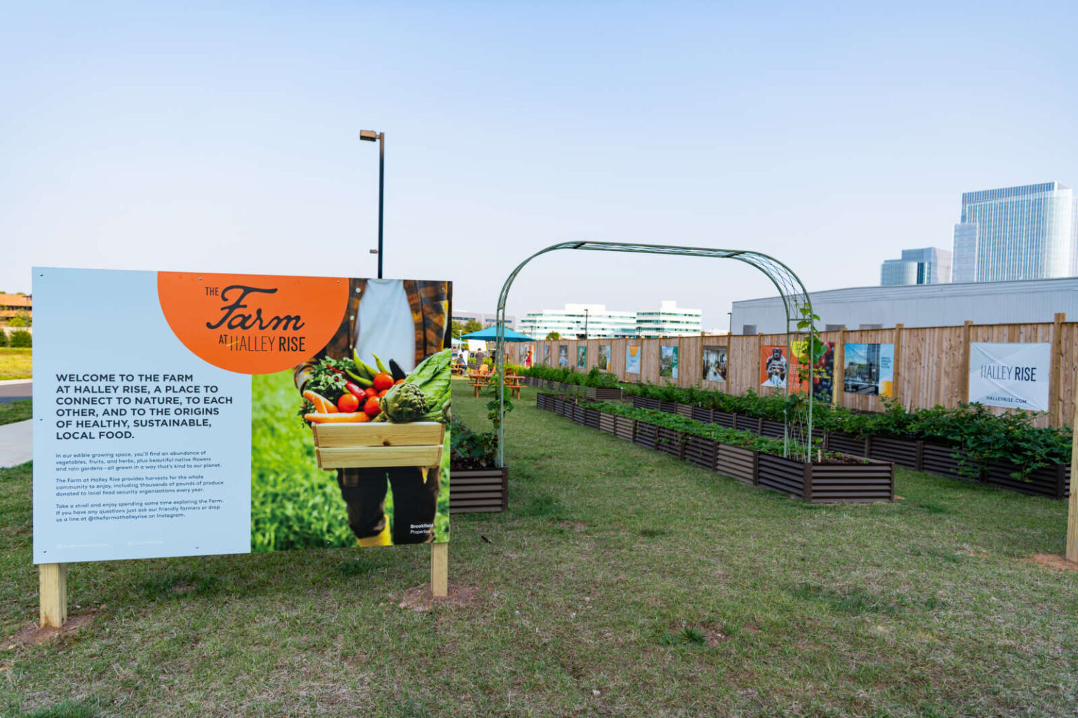 Reston’s Halley Rise development to feature new urban farm, fall ...