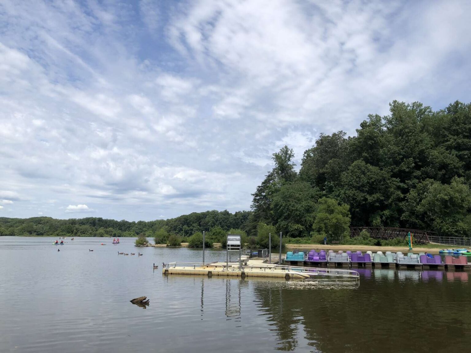 County board signals support for preserving smaller Lake Accotink | FFXnow
