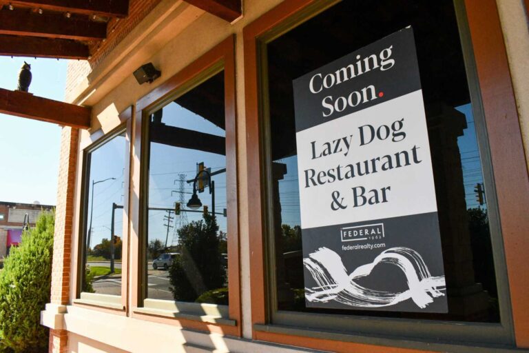 Lazy Dog Restaurant signs lease for Kingstowne location | FFXnow