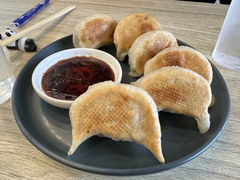 Handmade Chinese dumpling eatery opens doors in Vienna | FFXnow