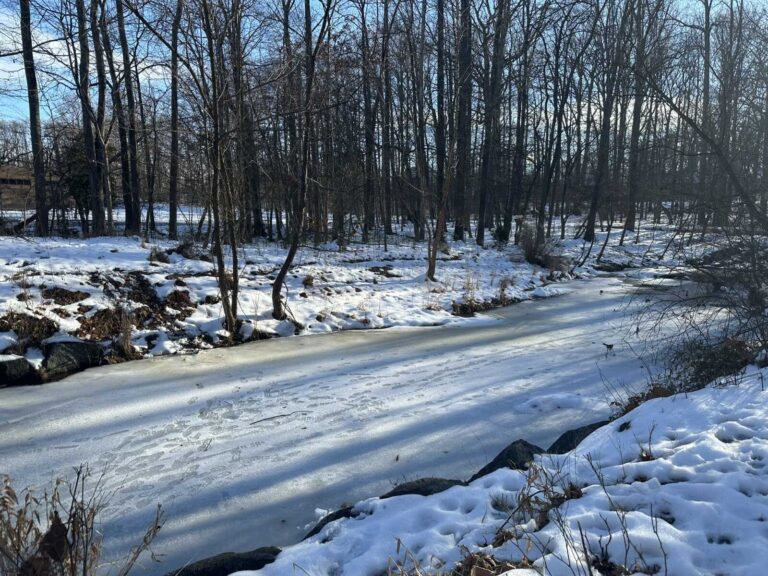 JUST IN: FCPS to open on two-hour delay Thursday due to icy weather ...