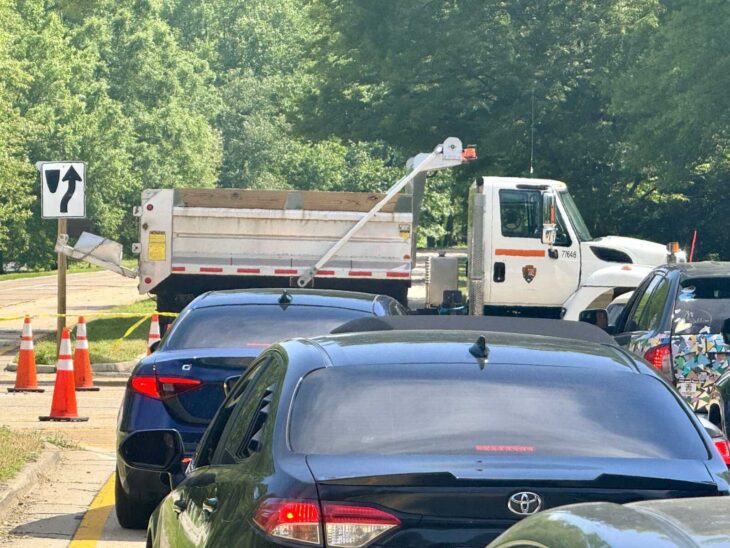 Work to address ‘hazardous’ trees along southern GW Parkway begins | FFXnow