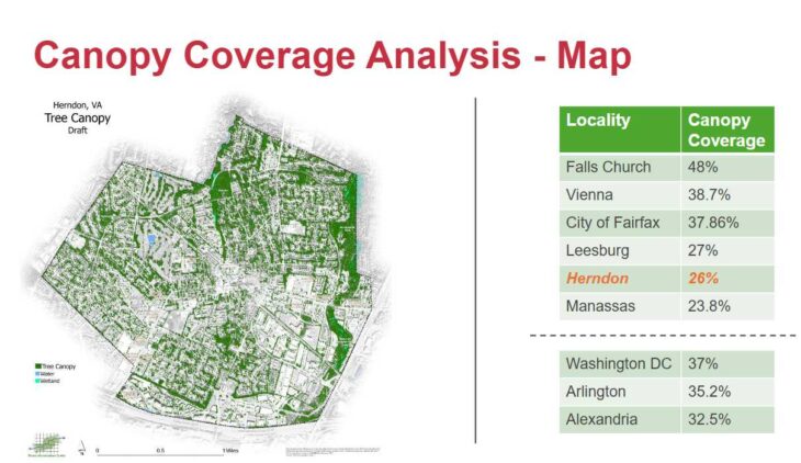 Herndon’s tree canopy is growing but still falls short of neighbors ...