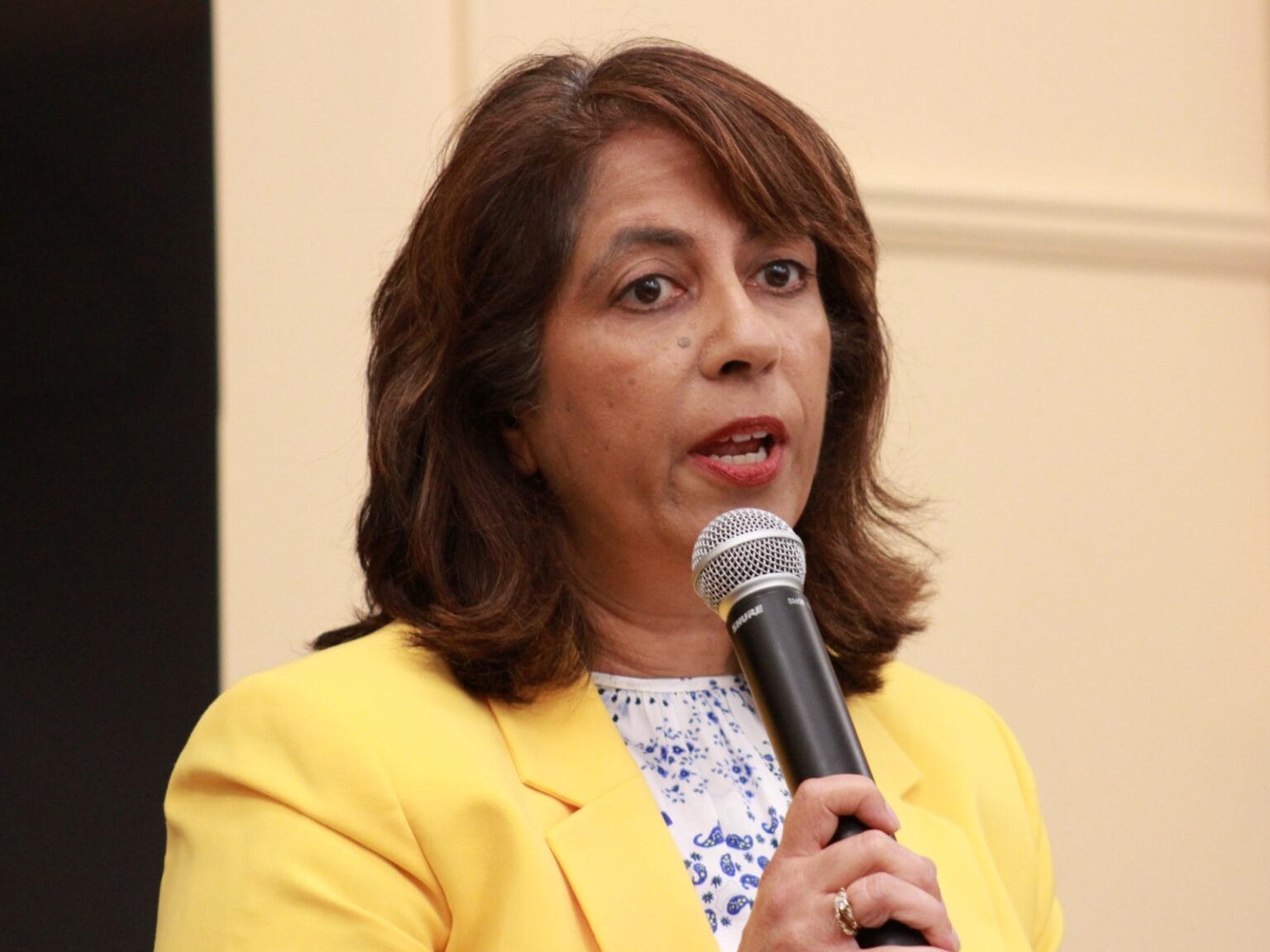 JUST IN: School board Democrat wins Braddock District supervisor race ...