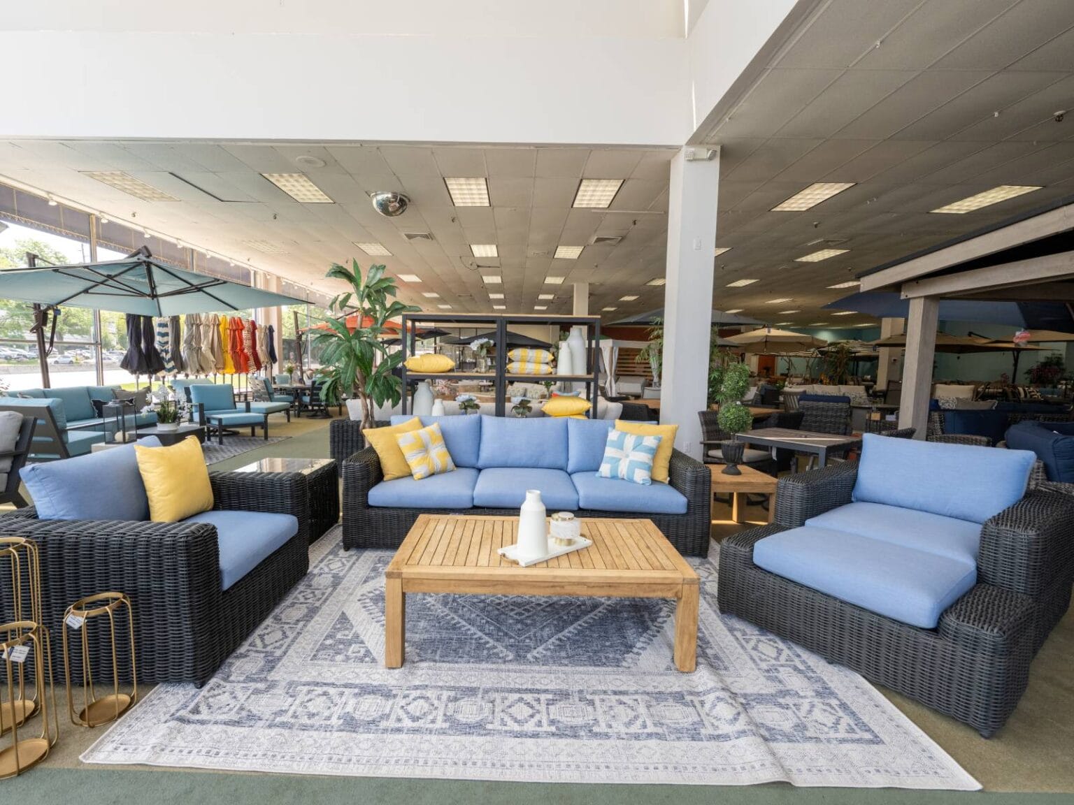 Backyard furniture retailer announces new Springfield shop | FFXnow